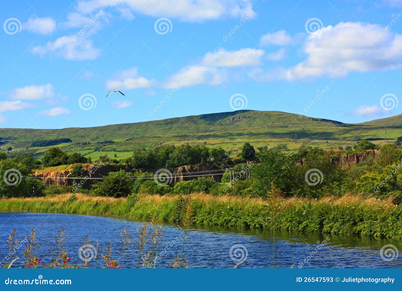 Summer Landscape in Scotland Stock Image - Image of natural, landscape ...