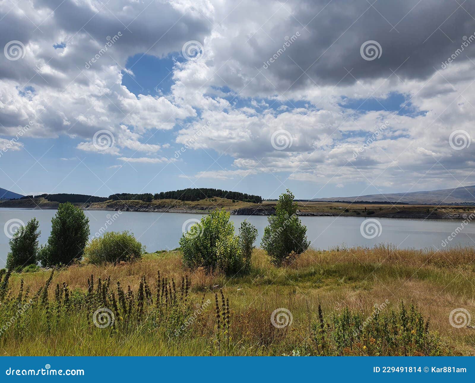 Summer Landscape with Small Lake in Forest. - Background Stock Photo ...