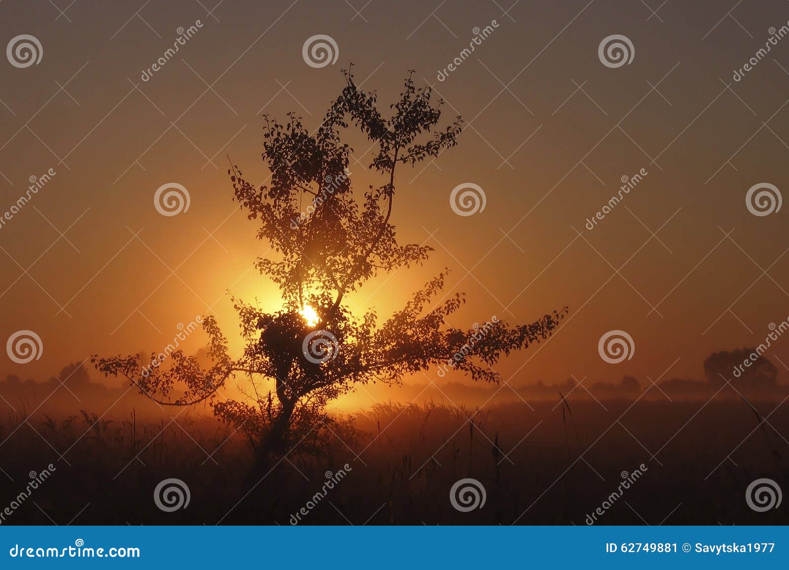 Summer landscape - Sunset stock image. Image of urban - 62749881