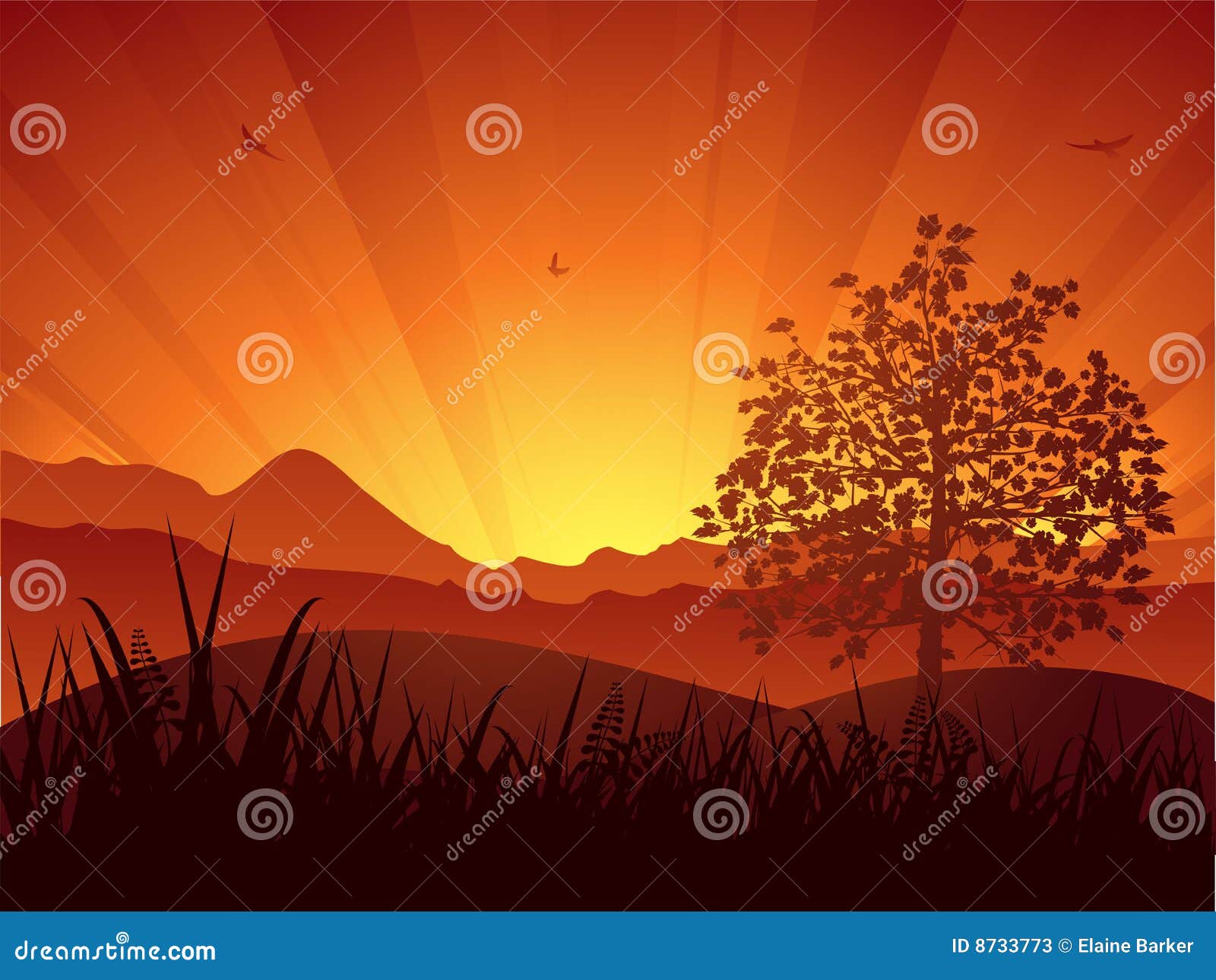 Summer Landscape Sunset and Tree Stock Illustration - Illustration of ...