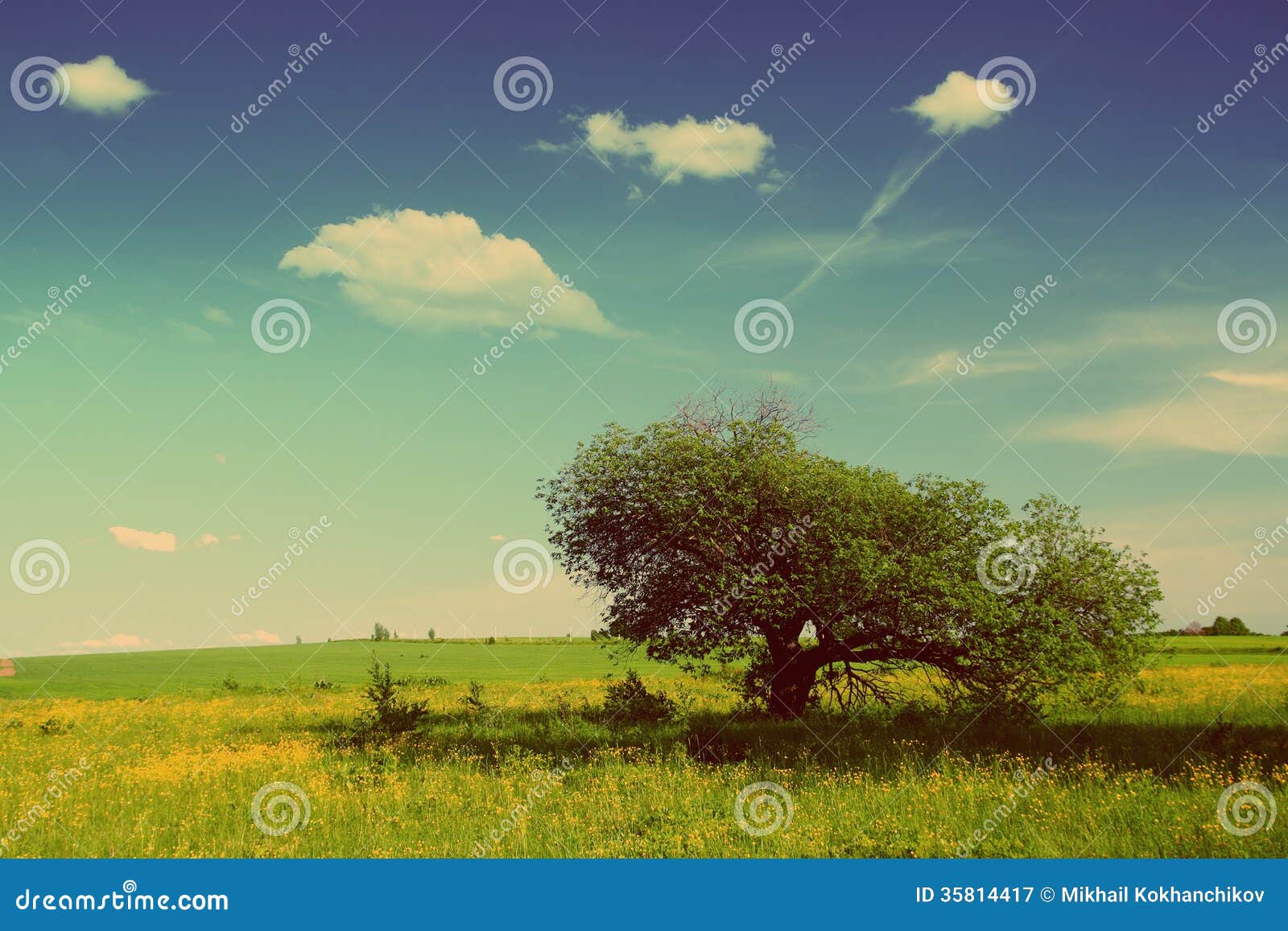 Summer Landscape with Tree - Vintage Retro Style Stock Image - Image of ...