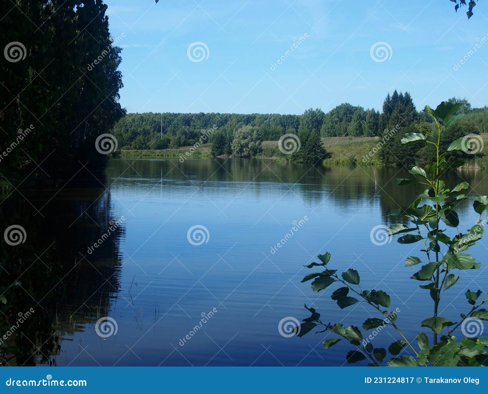 Trees On The Bank Of River Royalty-Free Stock Photography ...