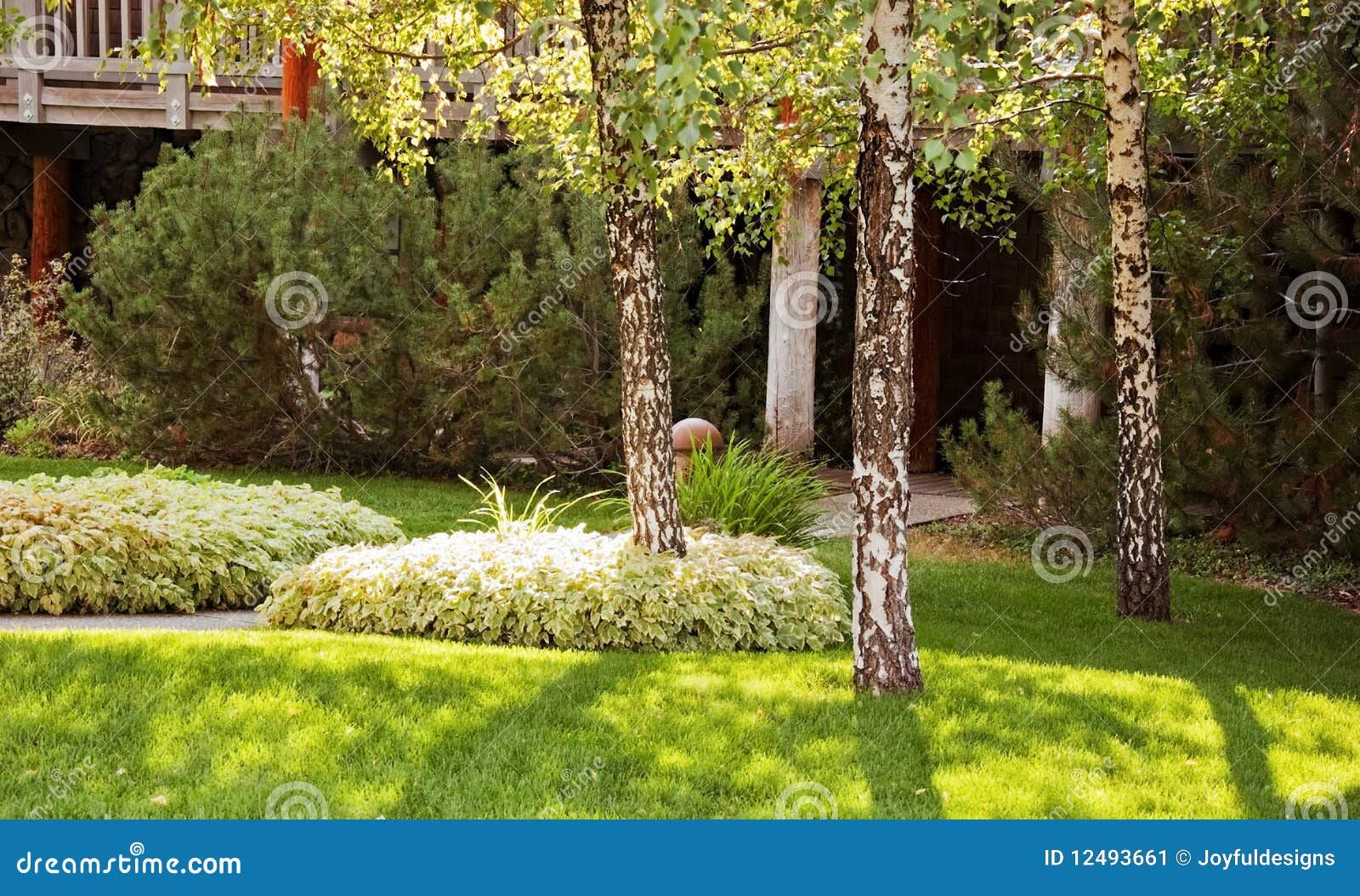 Summer Landscape with White Ash Trees Stock Image - Image of horizontal ...