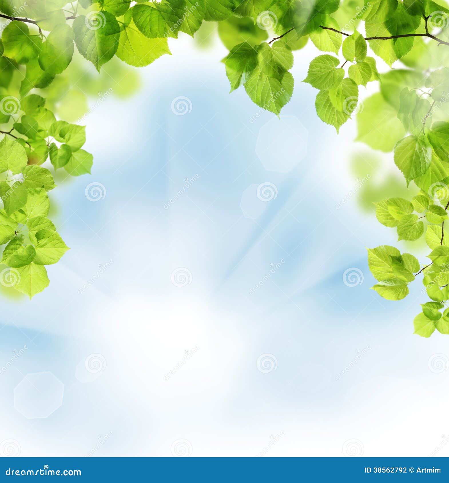 Greenery Background Of Nature Plant And Leaf Royalty-Free Stock Image ...