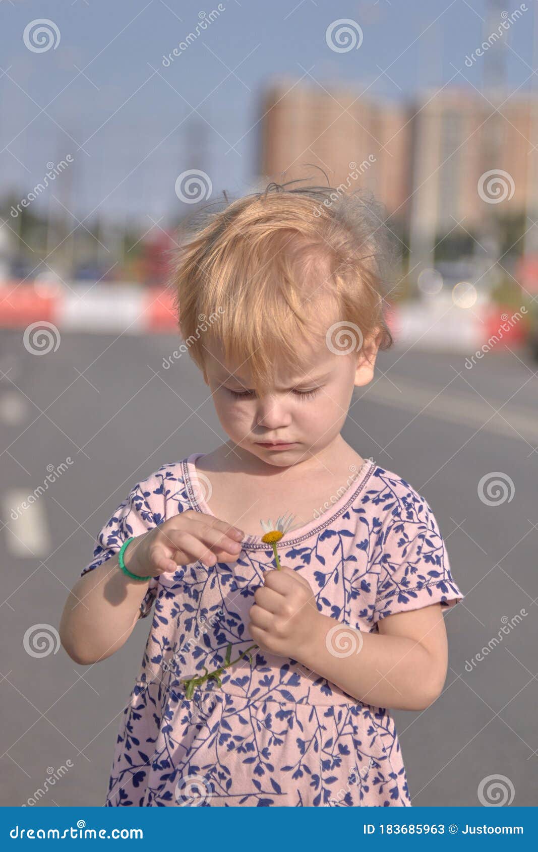 Summer a Little Girl is Guessing on a Daisy Stock Image - Image of girl ...