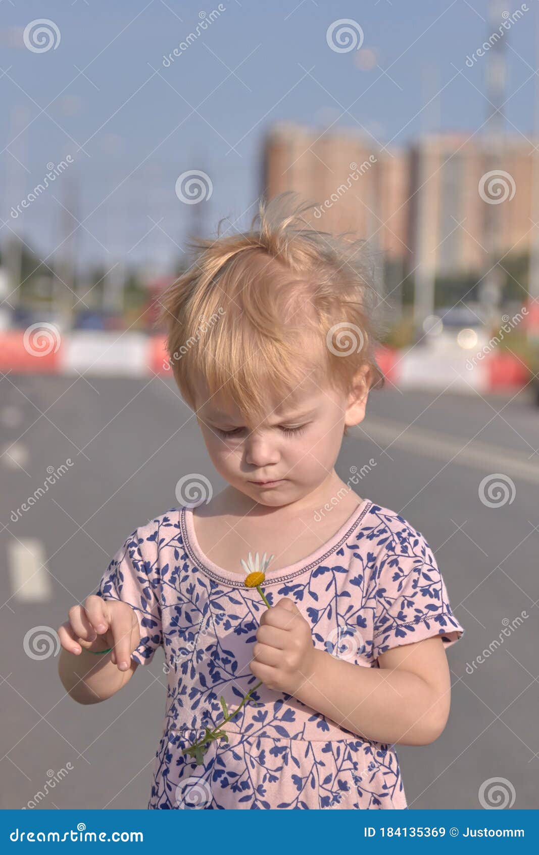 Summer a Little Girl is Guessing on a Daisy Stock Image - Image of ...