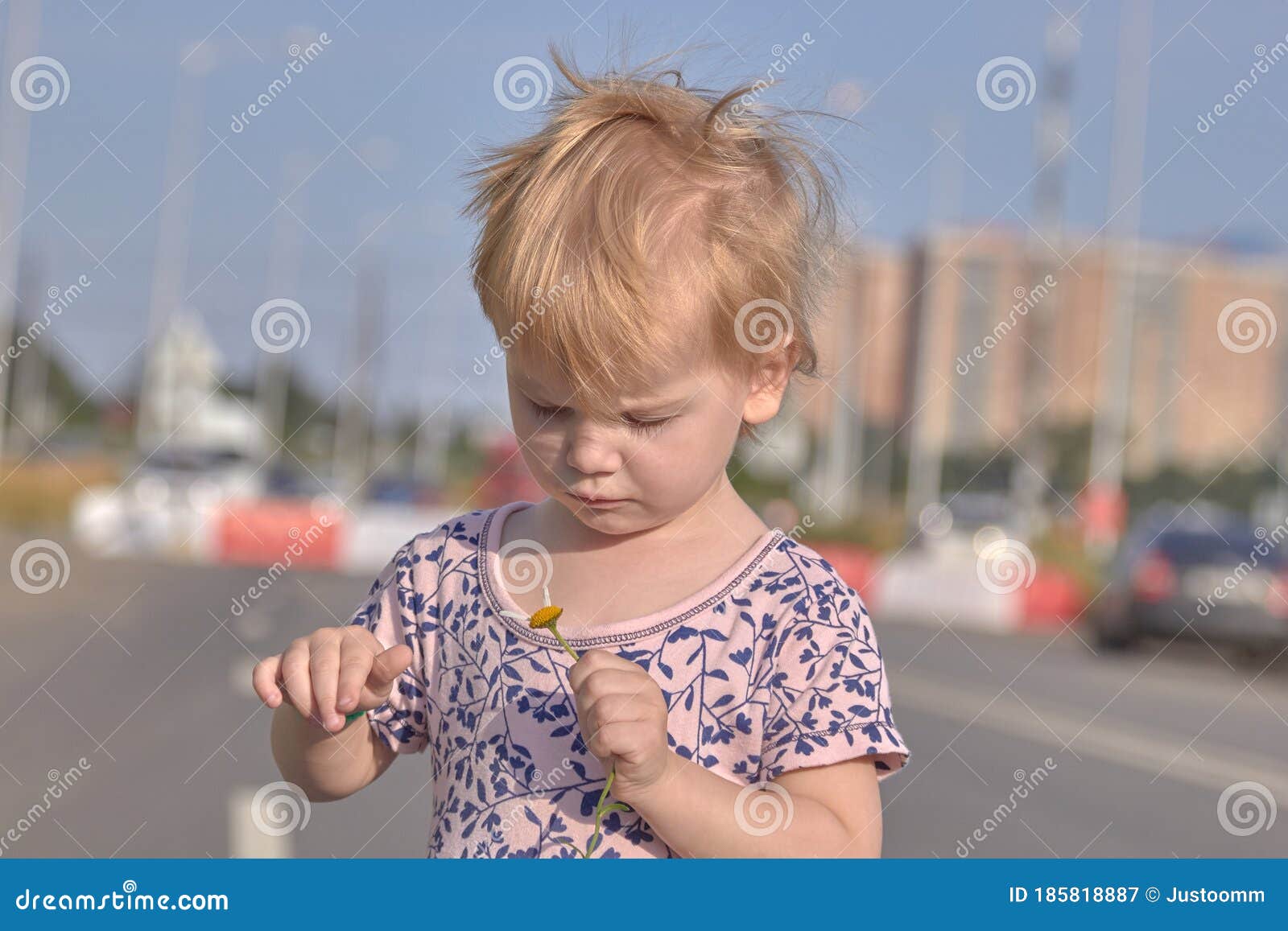 Summer a Little Girl is Guessing on a Daisy Stock Image - Image of ...