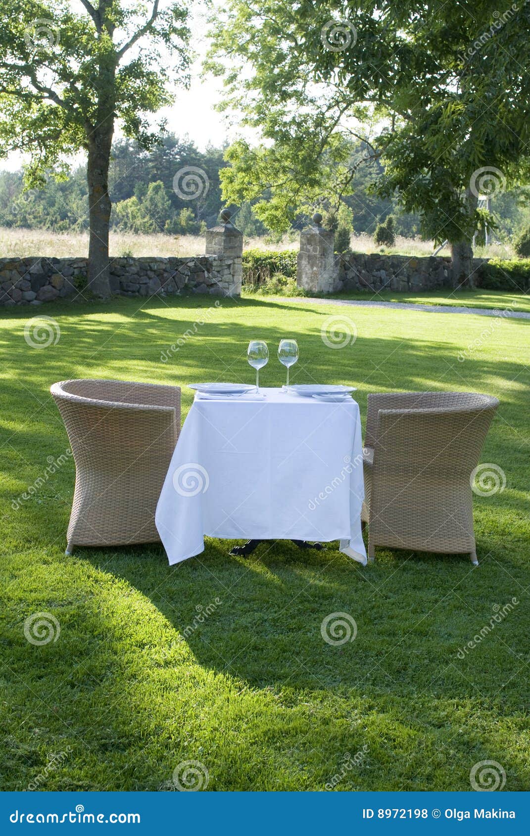 Summer lunch for two stock photo. Image of grass, lifestyles - 8972198