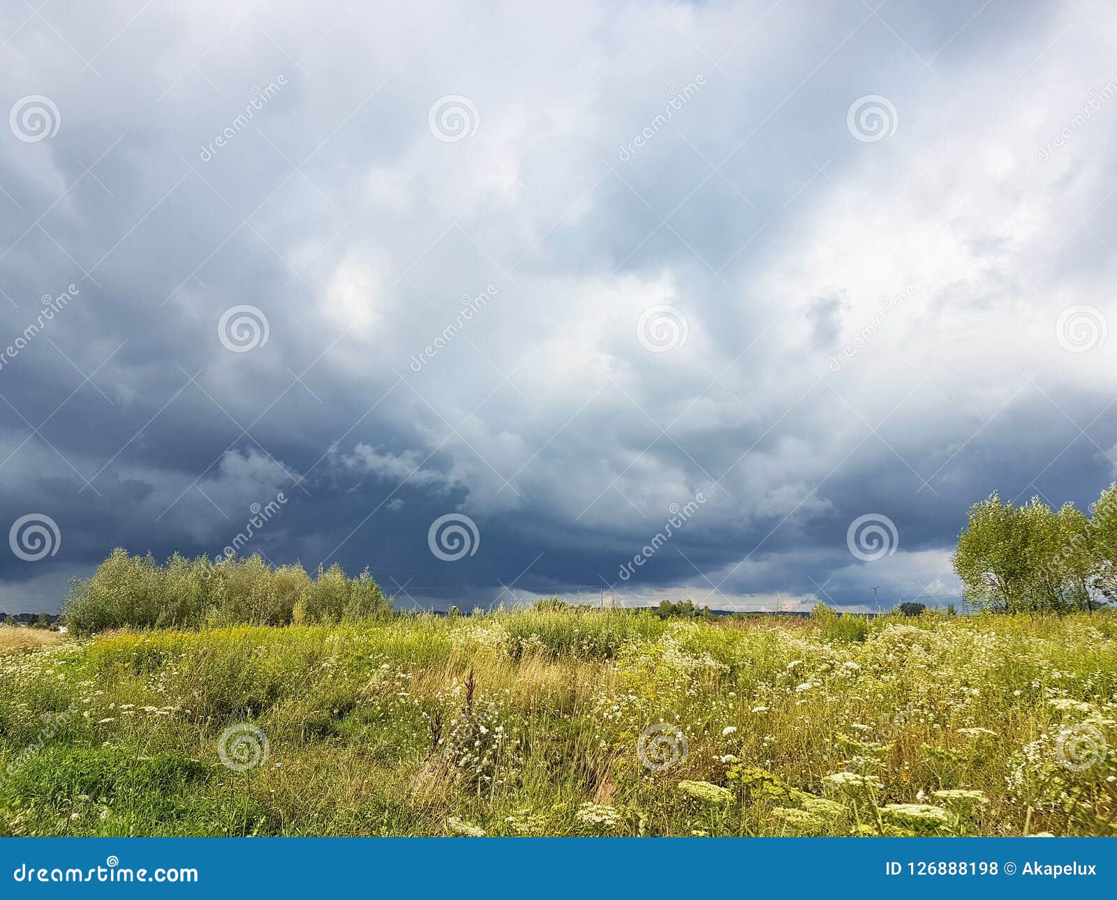 Summer Meadow in the Rays of the Sun with an Impending Thundercloud ...