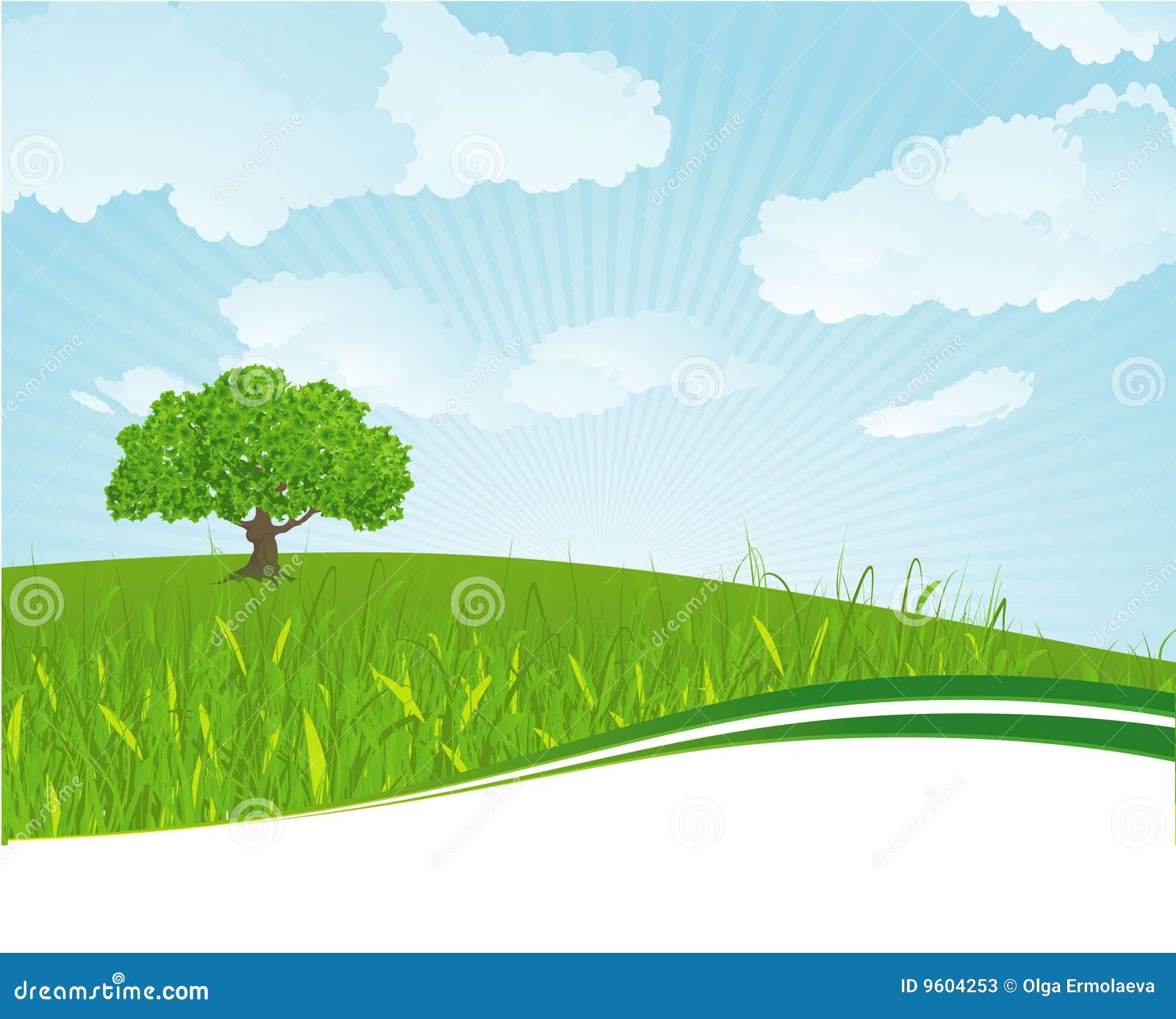 Summer Meadow. Vector Template Stock Vector - Illustration of green ...