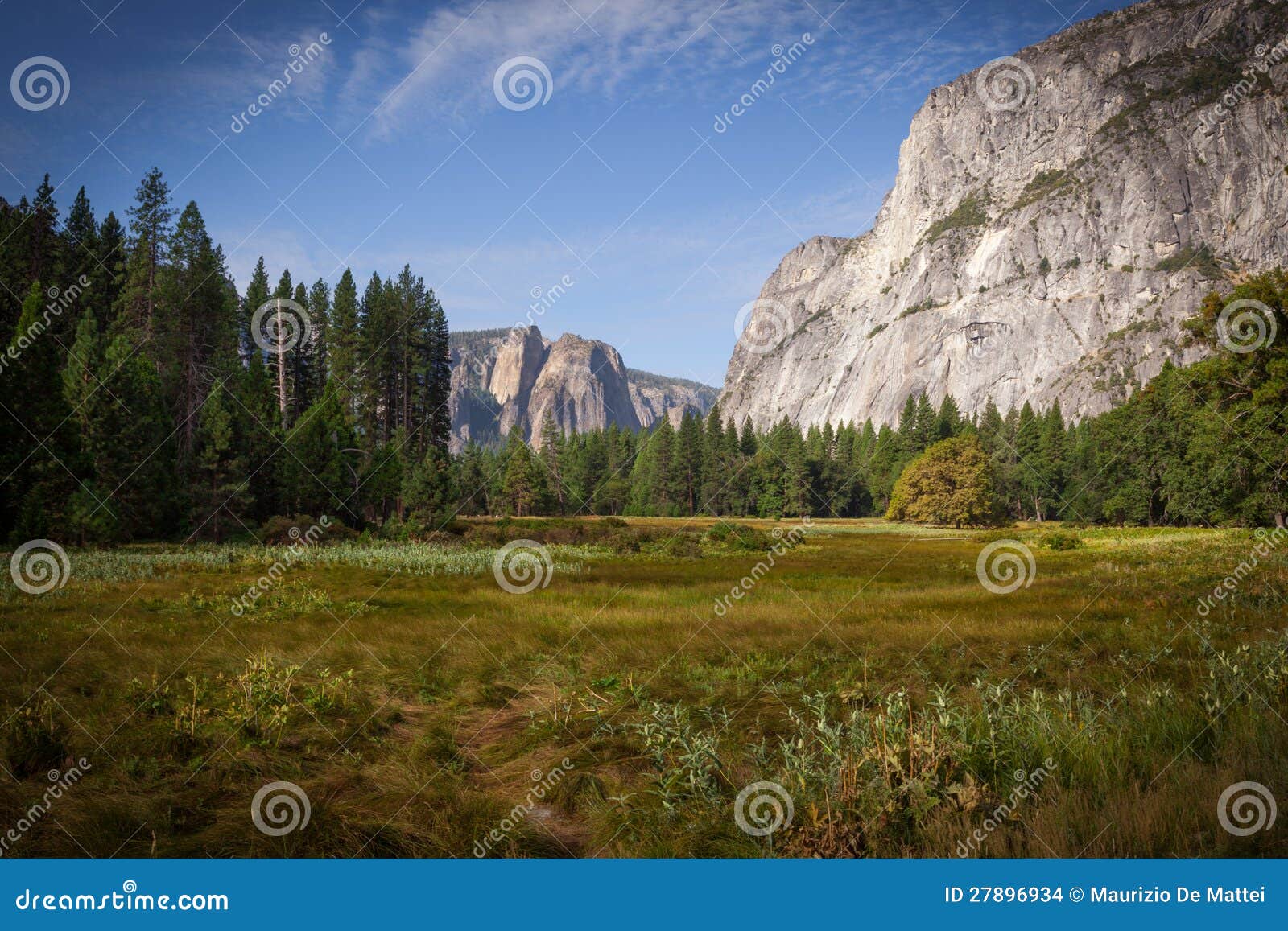 Summer Meadow in Yosemite Valley Stock Photo - Image of california ...