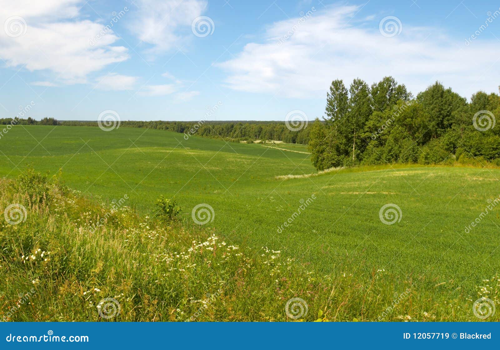 Summer meadows stock image. Image of summer, atmosphere - 12057719