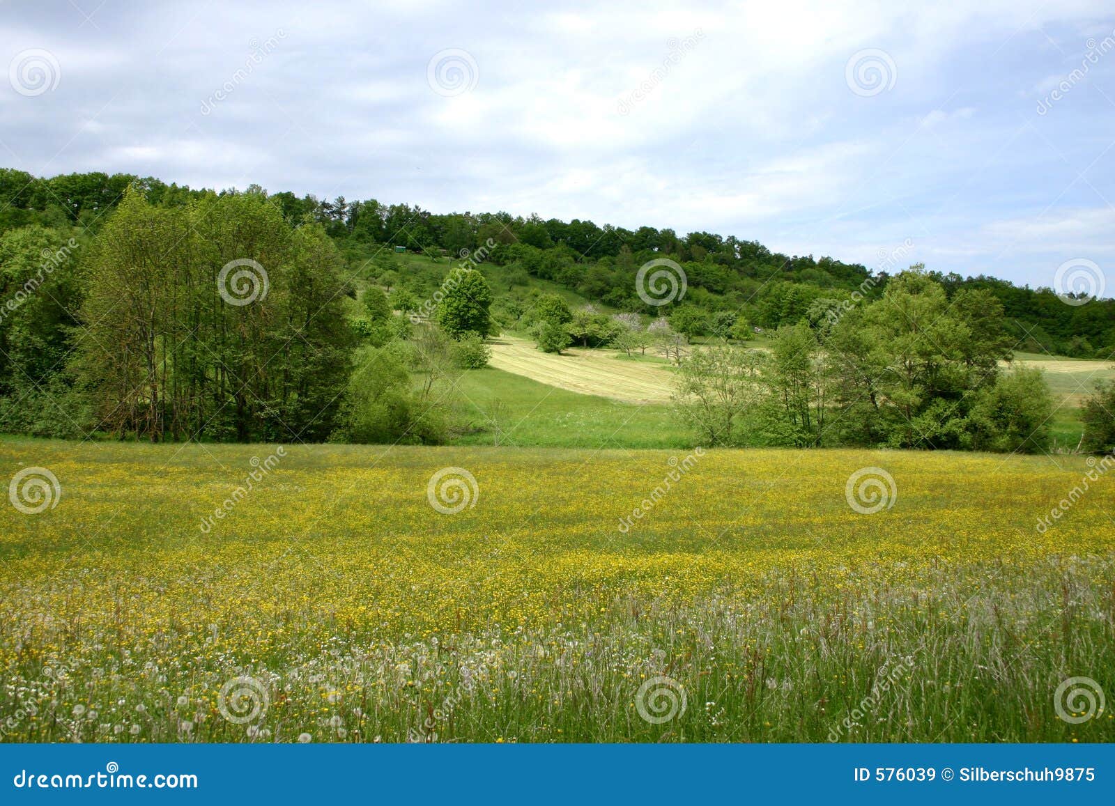 Summer meadows stock image. Image of idyllic, colorful - 576039