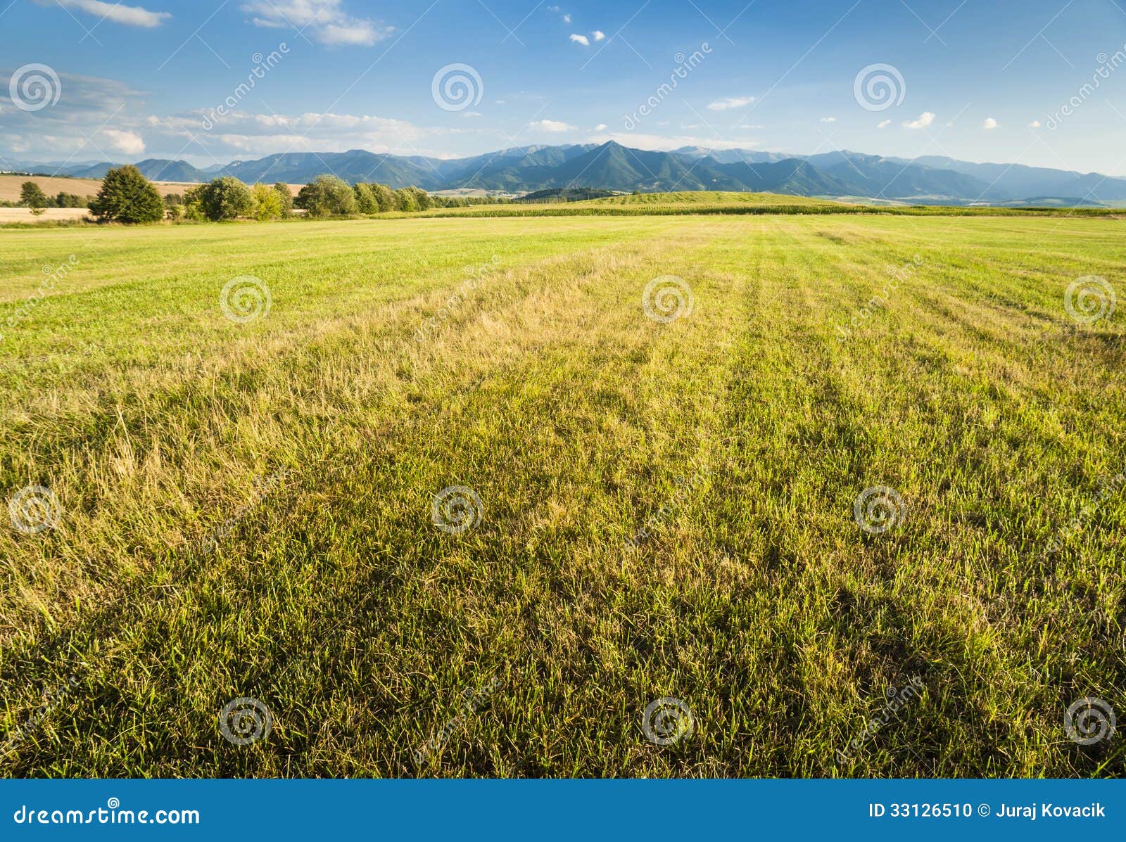 Summer meadows stock photo. Image of green, landscape - 33126510
