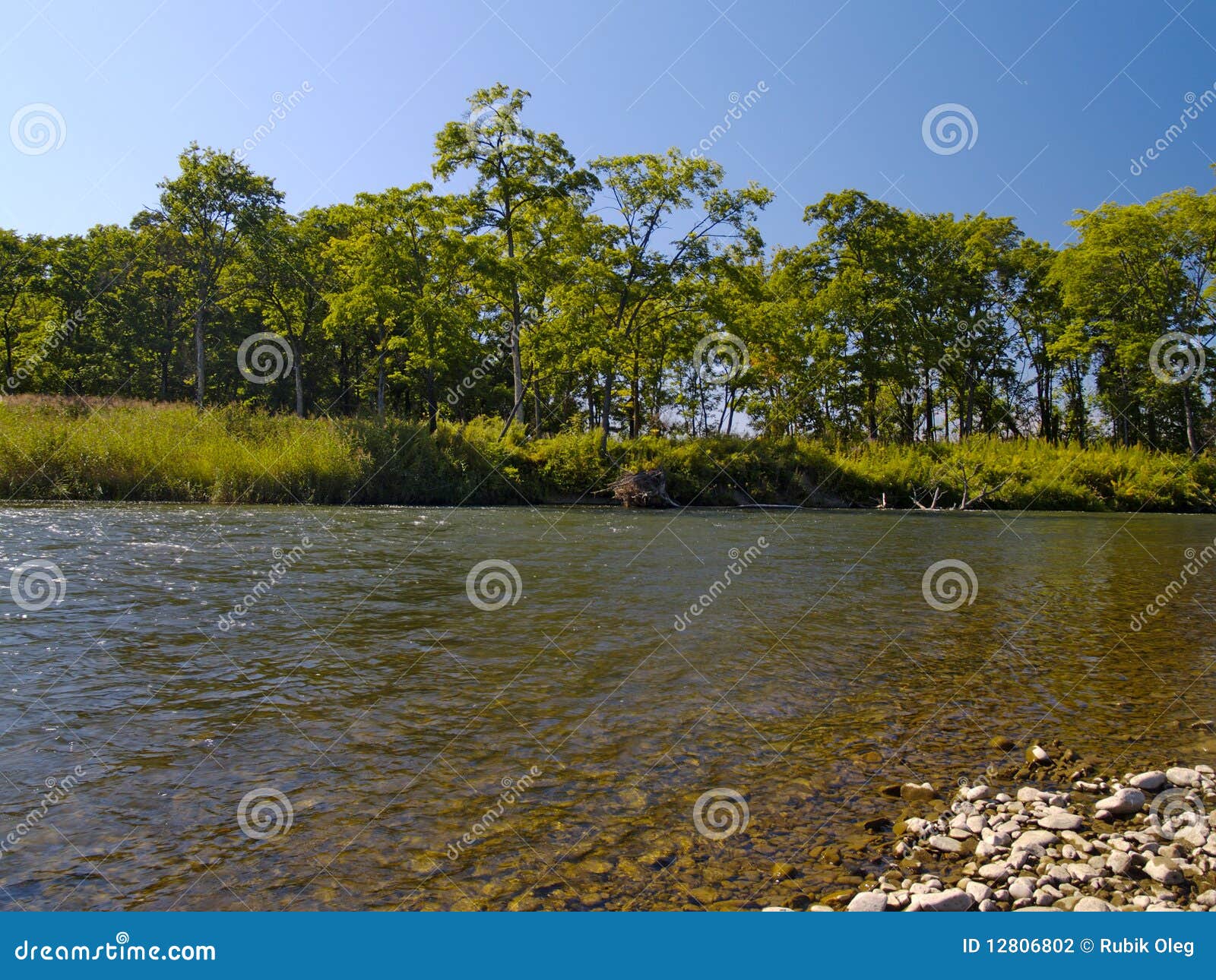 Summer midday at the river stock photo. Image of bottom - 12806802