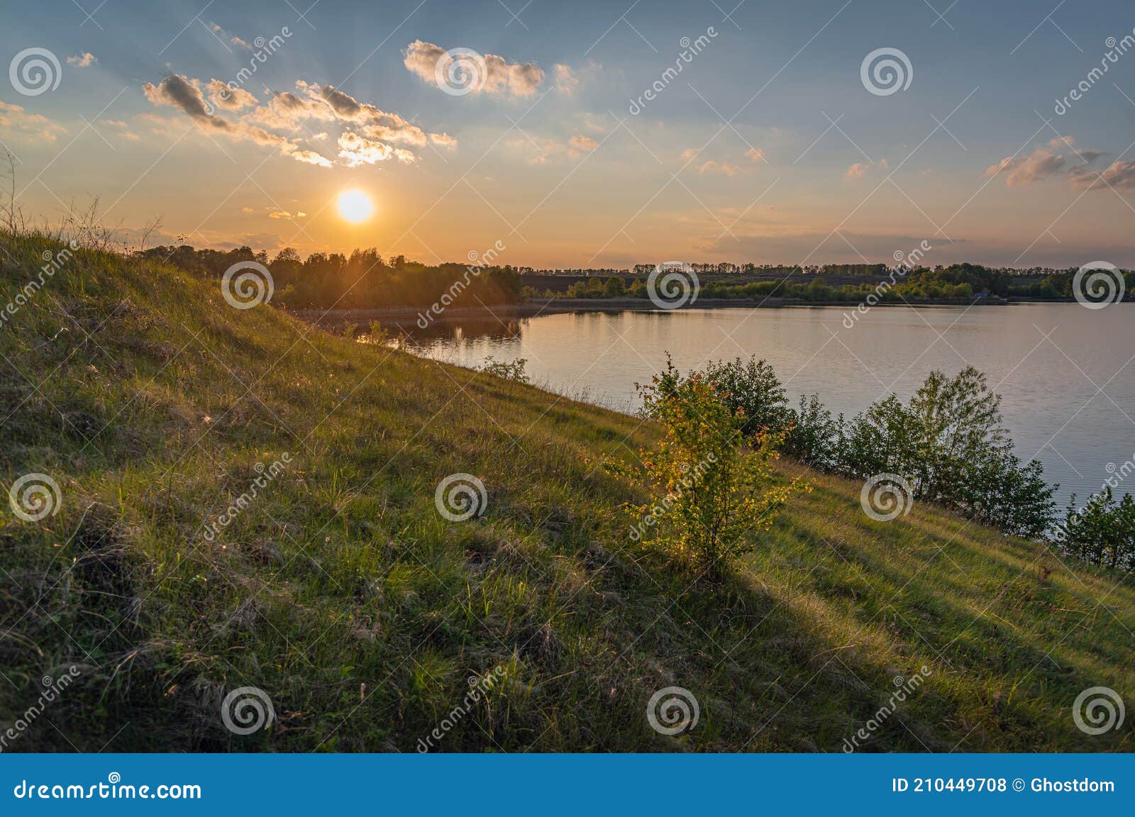 Summer moring among fields stock photo. Image of field - 210449708