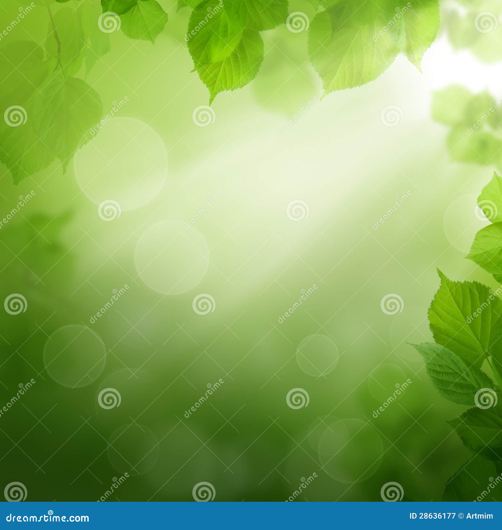 Morning Abstract Silhouette Black Bush Tree On Orange Light Sun Cloud ...