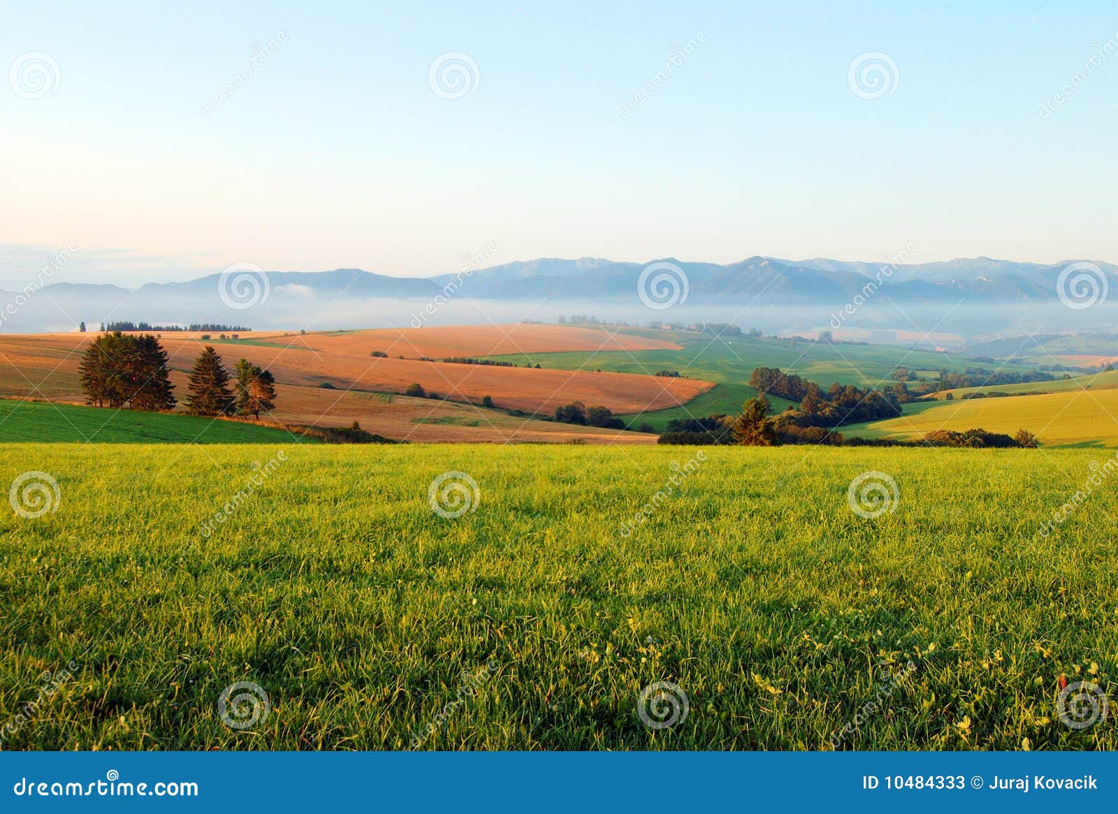 Summer morning on meadows stock image. Image of nature - 10484333