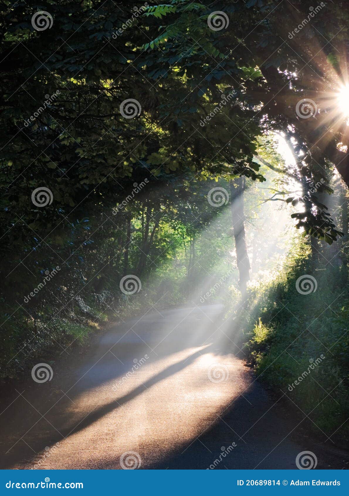 Summer Morning Sun Rays on a Road Stock Photo - Image of journey ...