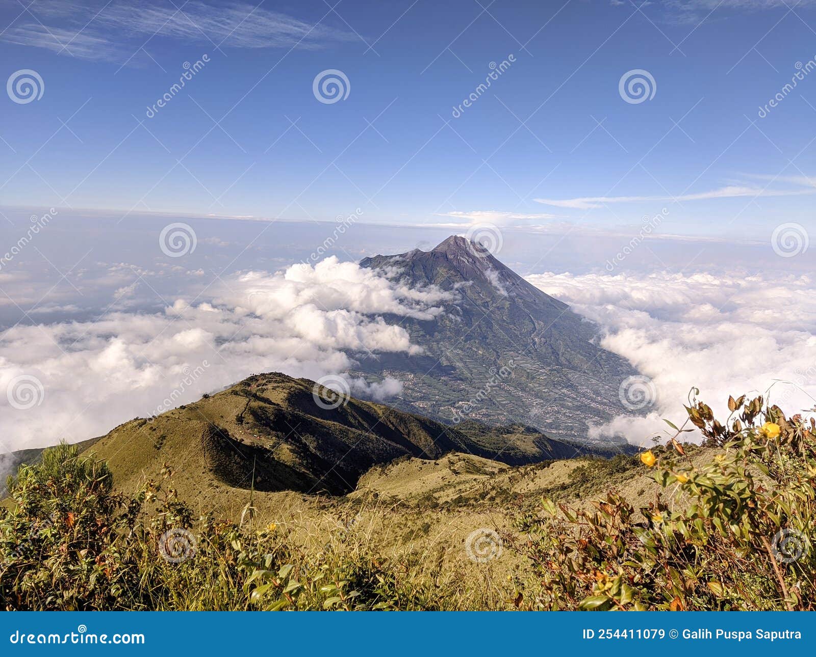 Summer Mount Merbabu Indonesia View of Mount Merapi Tree Cloud Sun ...
