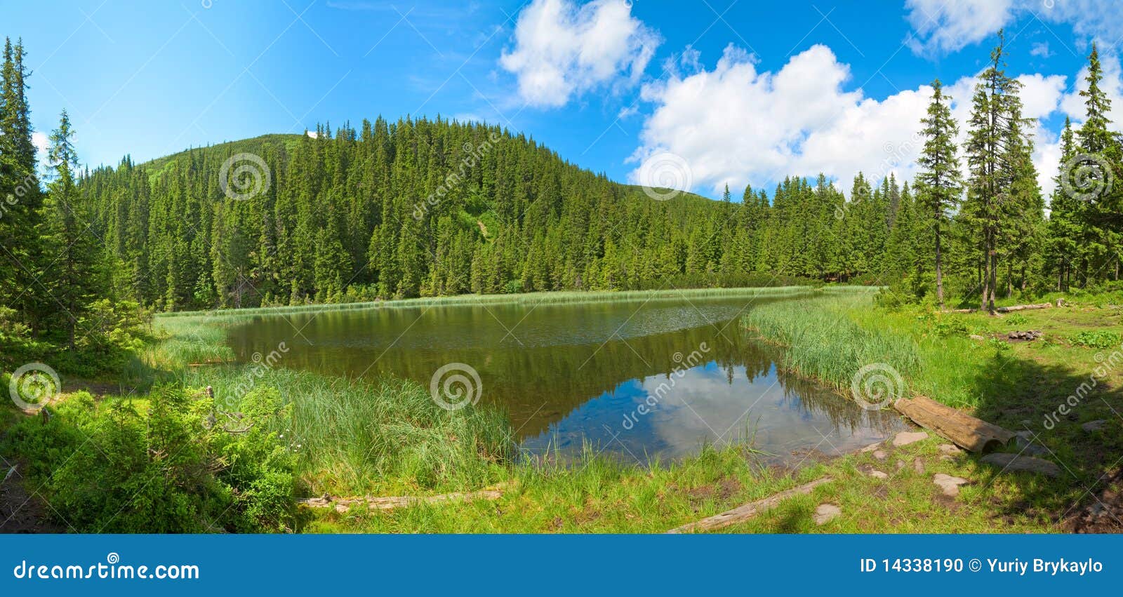 Summer mountain lake stock photo. Image of forest, flora - 14338190