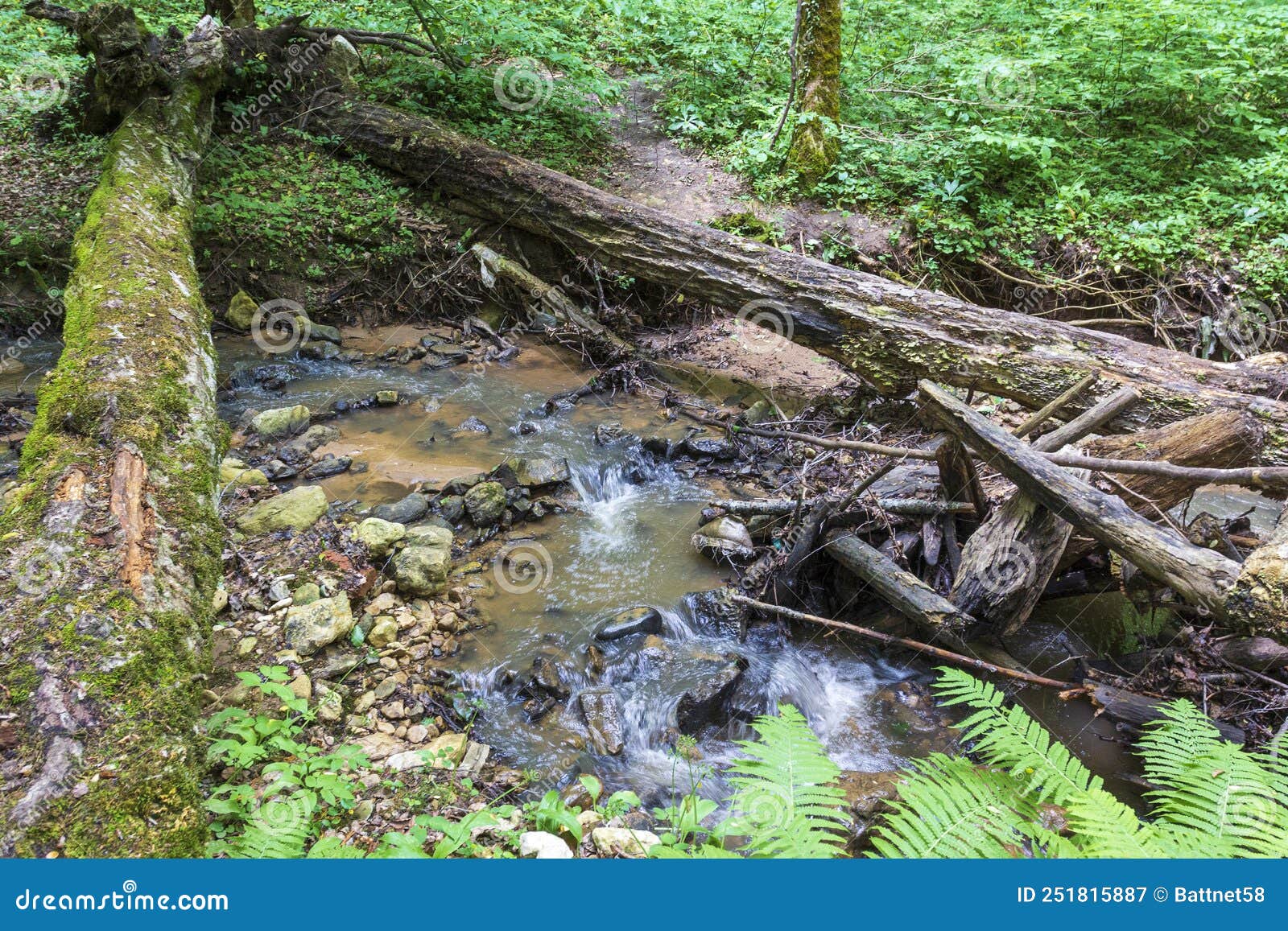 Shallow River, Rocky Bottom with a Small Riverbed on the Territory of a ...