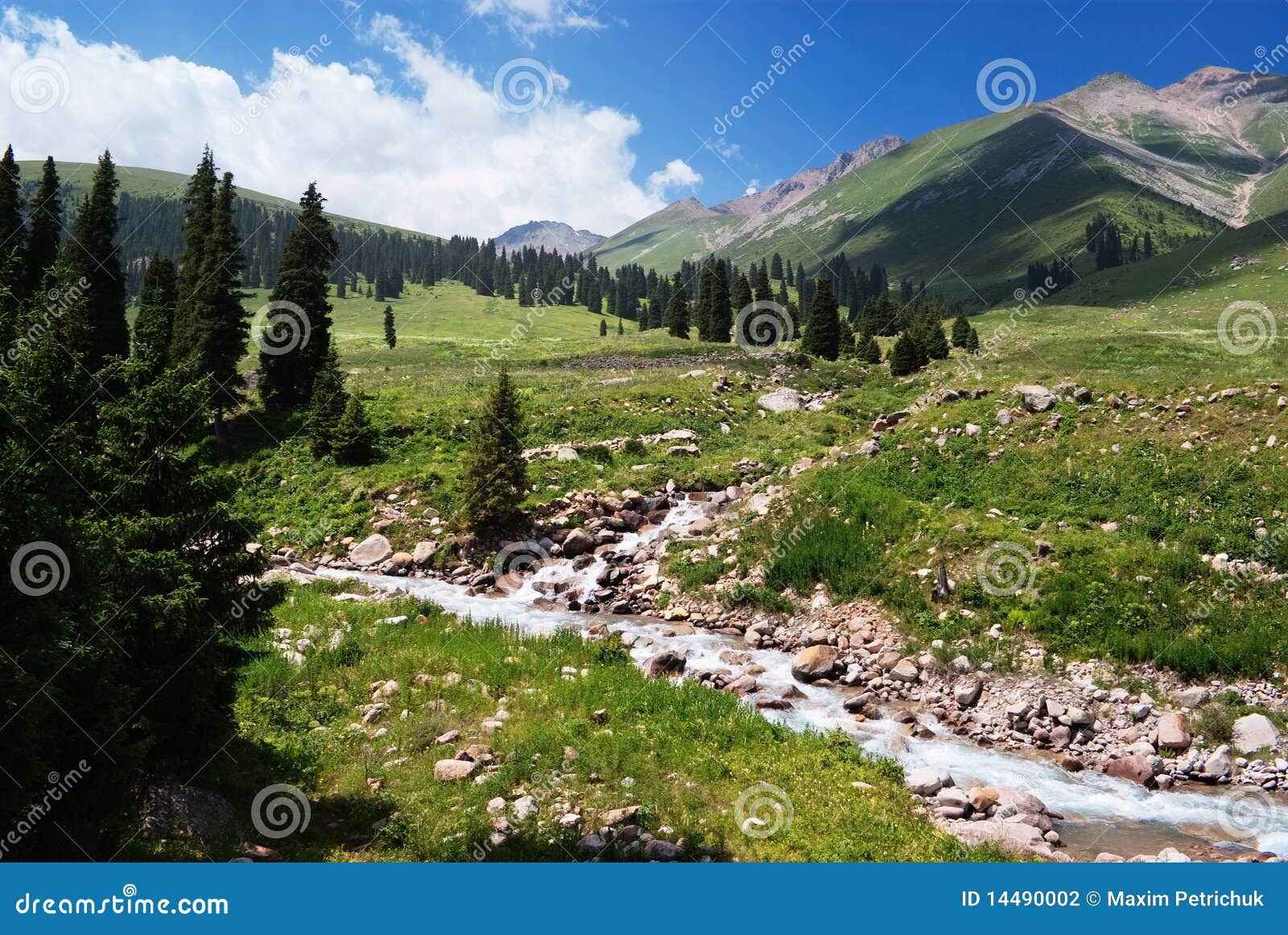 Summer mountain valley stock photo. Image of remote, stream - 14490002