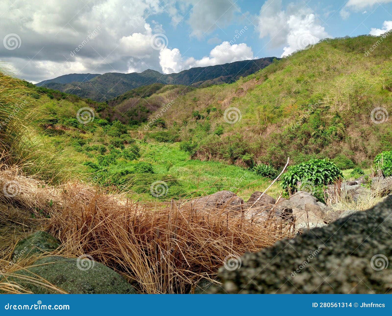 Summer Mountain View in the Province Stock Photo - Image of trees ...