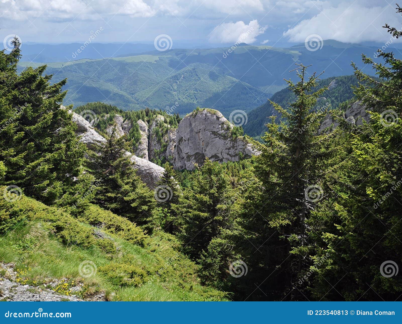 Summer in the mountains stock image. Image of mountains - 223540813