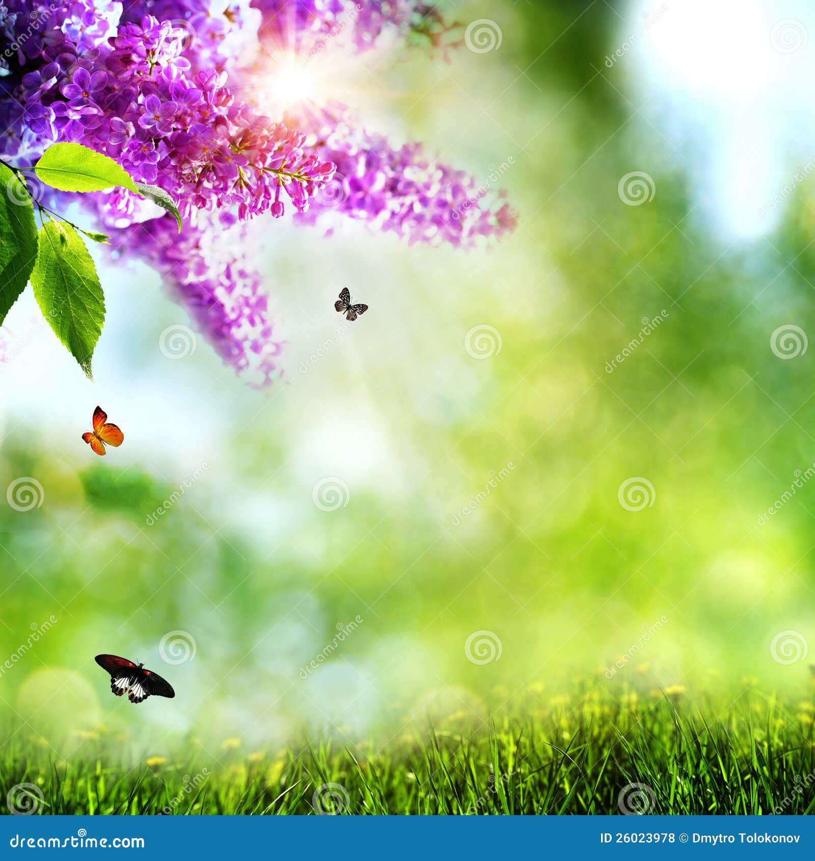 Summer natural backgrounds stock photo. Image of circle - 26023978