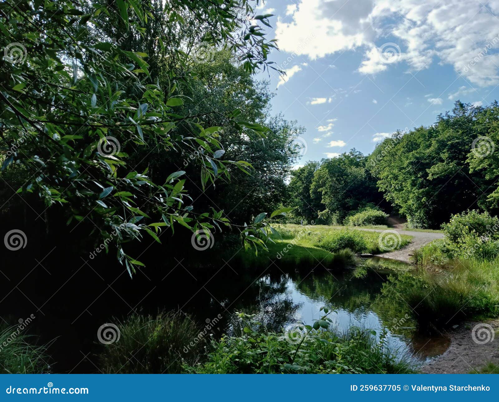 Summer Natural Green View on River Stock Image - Image of green ...