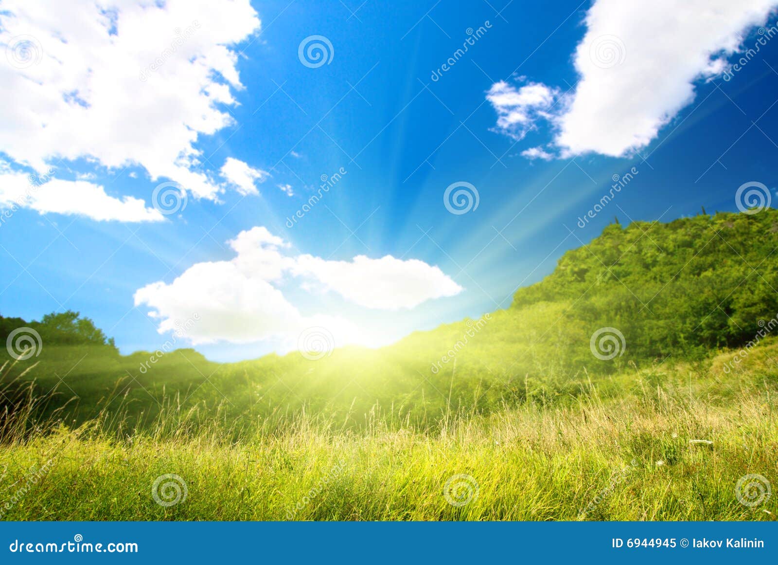 Summer nature stock image. Image of blue, grass, outside - 6944945