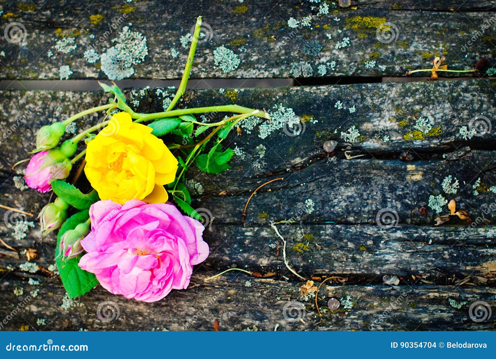 Summer Nature Background stock photo. Image of natural - 90354704