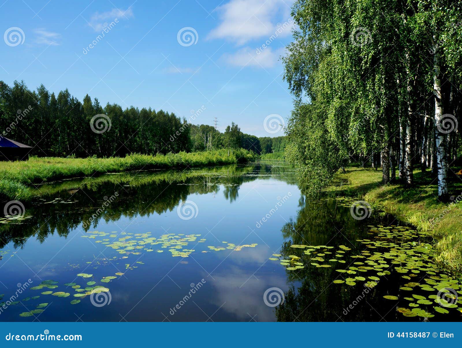 Summer Nature, River in Calm Day Stock Image - Image of heaven, scene ...