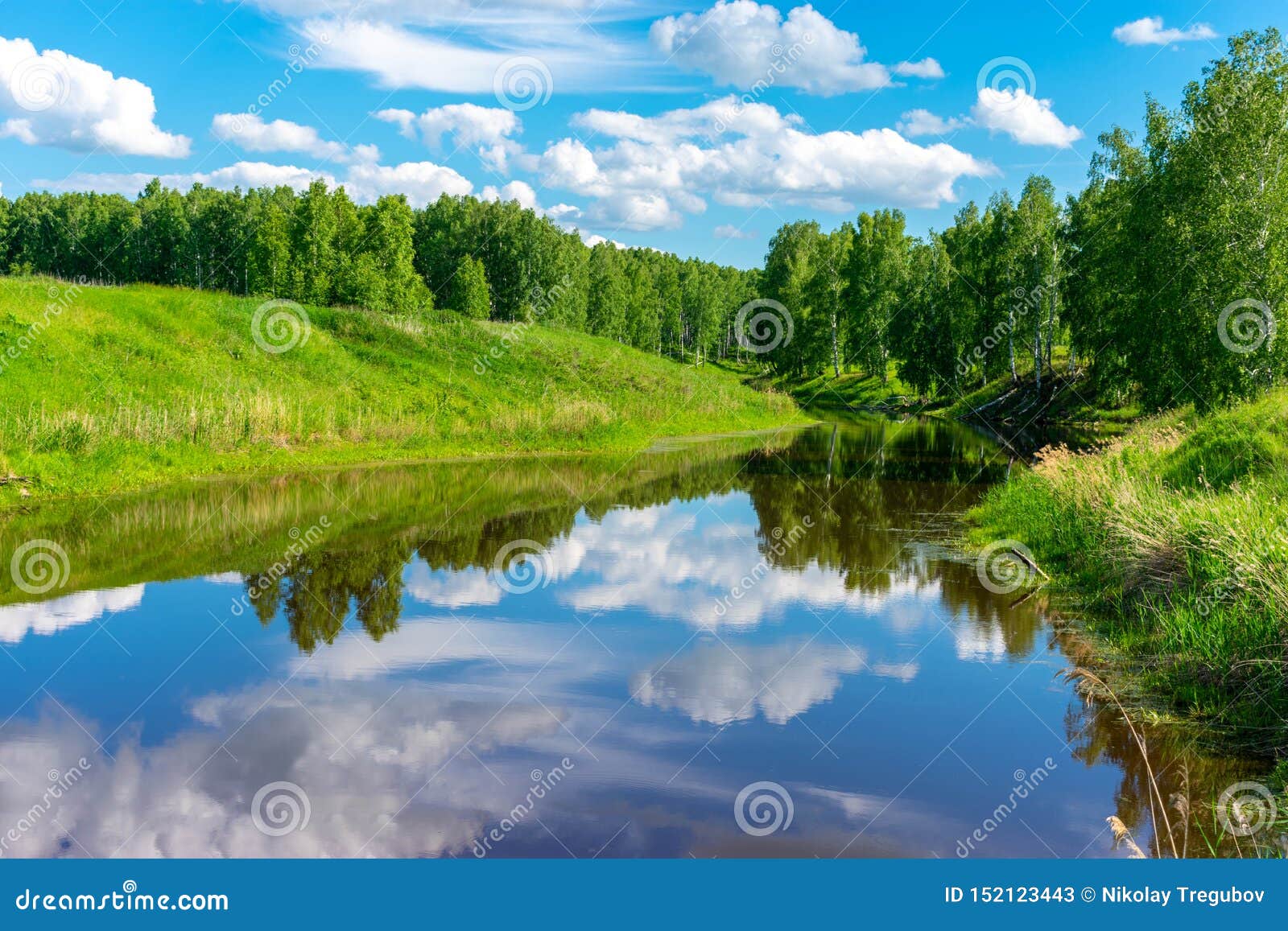 Summer Nature River Landscape. River Grass Summer View Stock Image ...