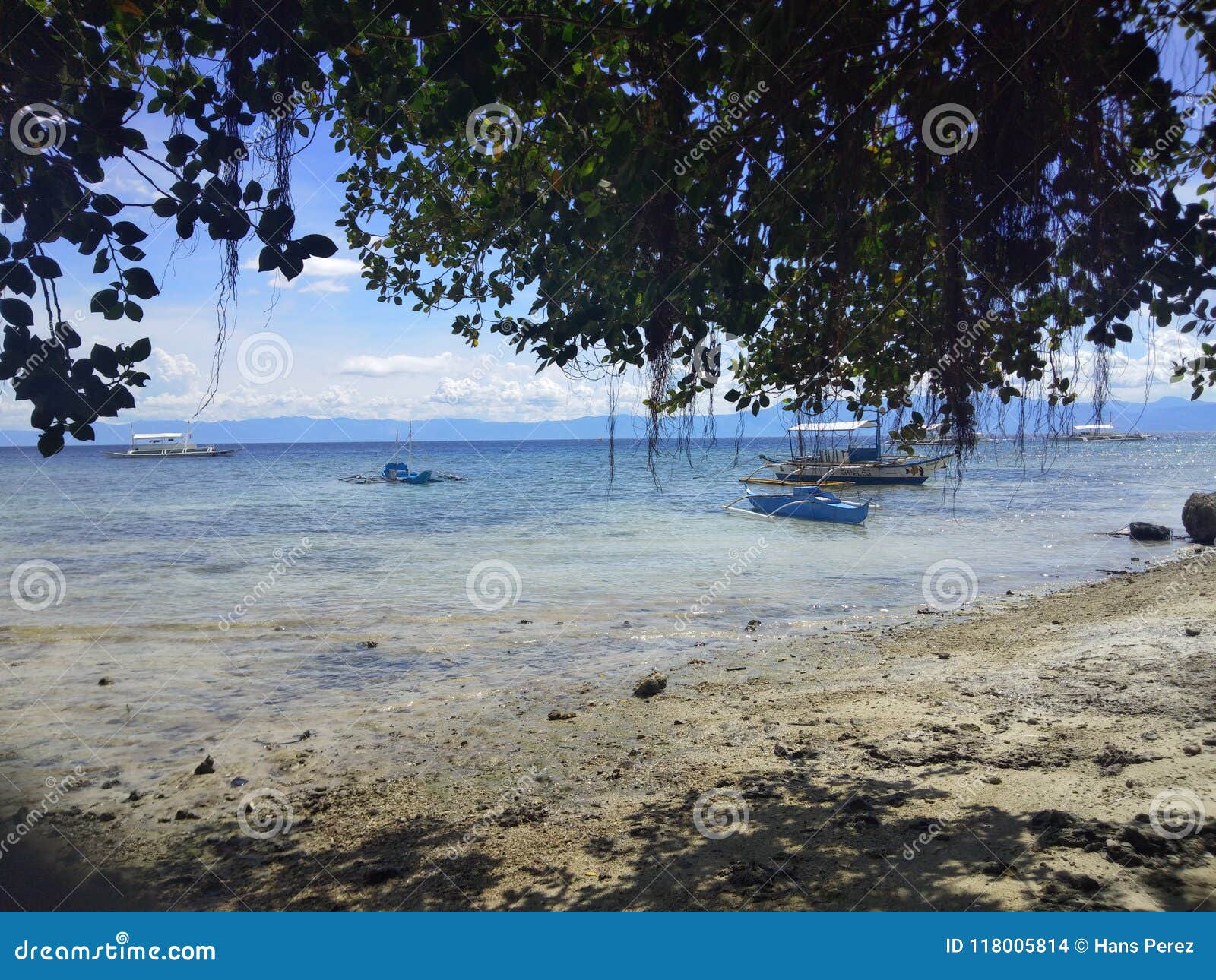 Island life editorial stock image. Image of summer, island - 118005814