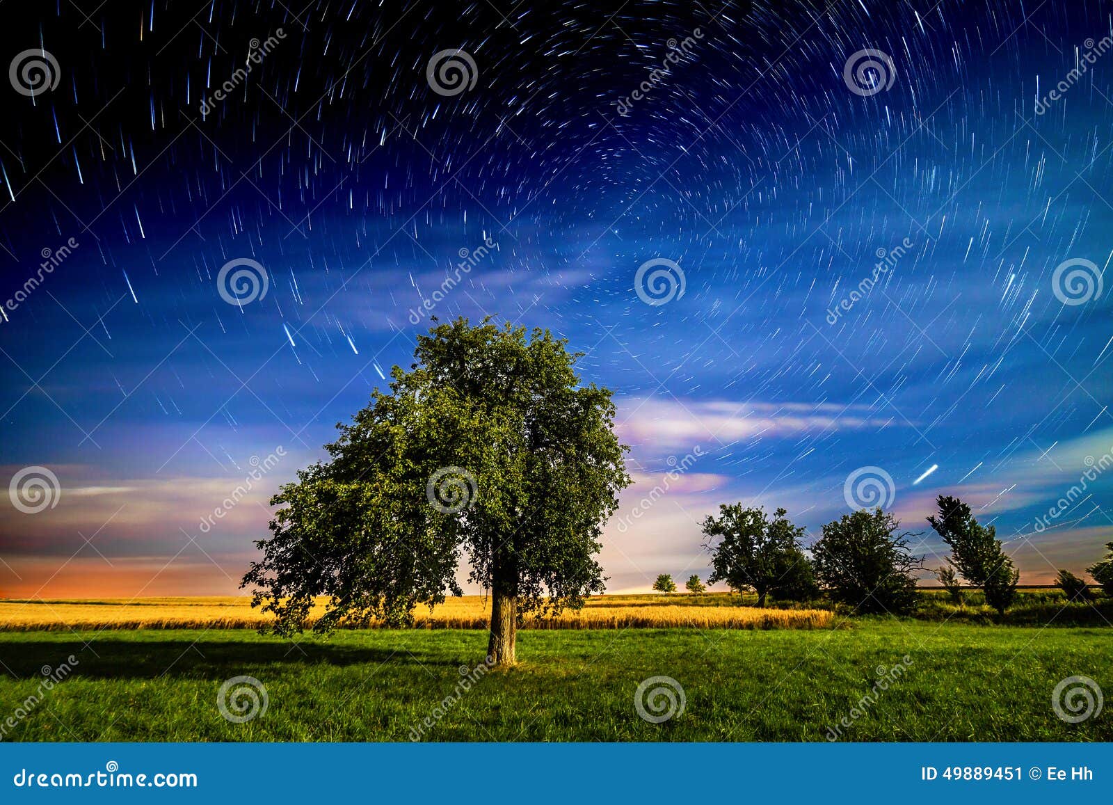 Summer Night stock image. Image of nature, vibrant, night - 49889451