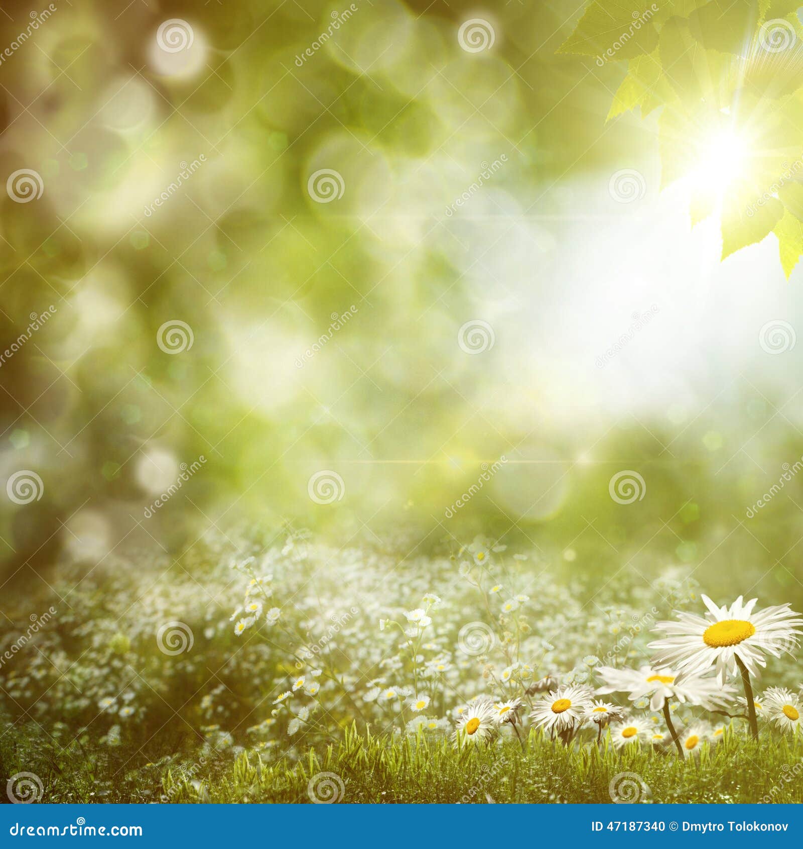 Summer noon backgrounds stock photo. Image of detailed - 47187340