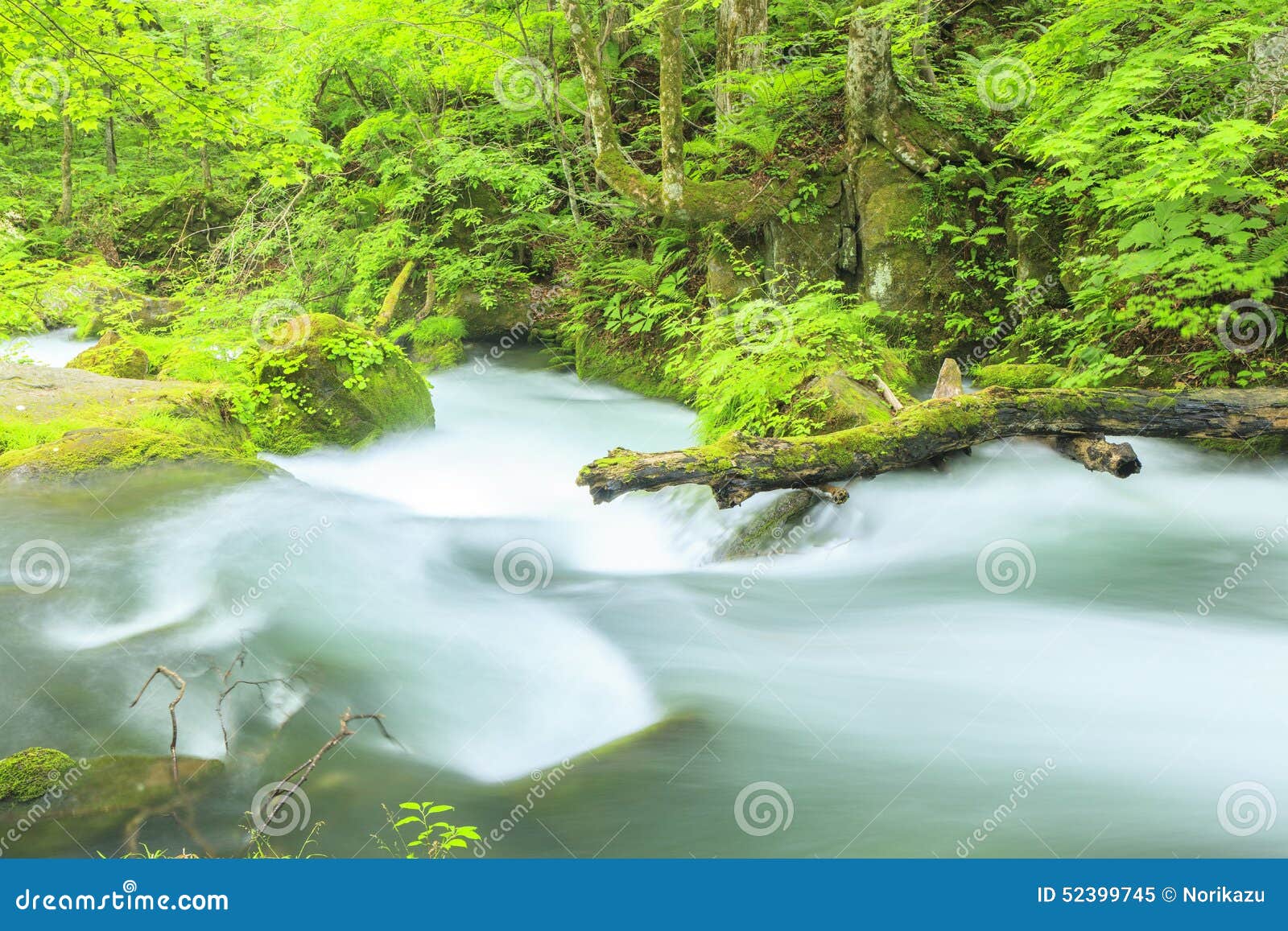Summer of Oirase Stream stock image. Image of beautiful - 52399745