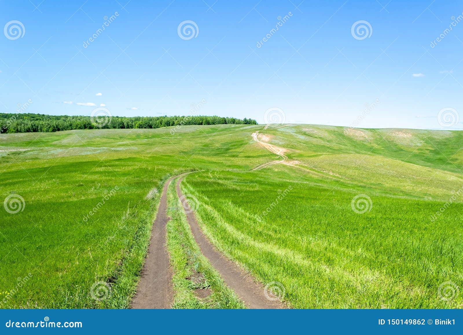 Summer Outdoor Green Grass Field Stock Photo - Image of colorful, farm ...