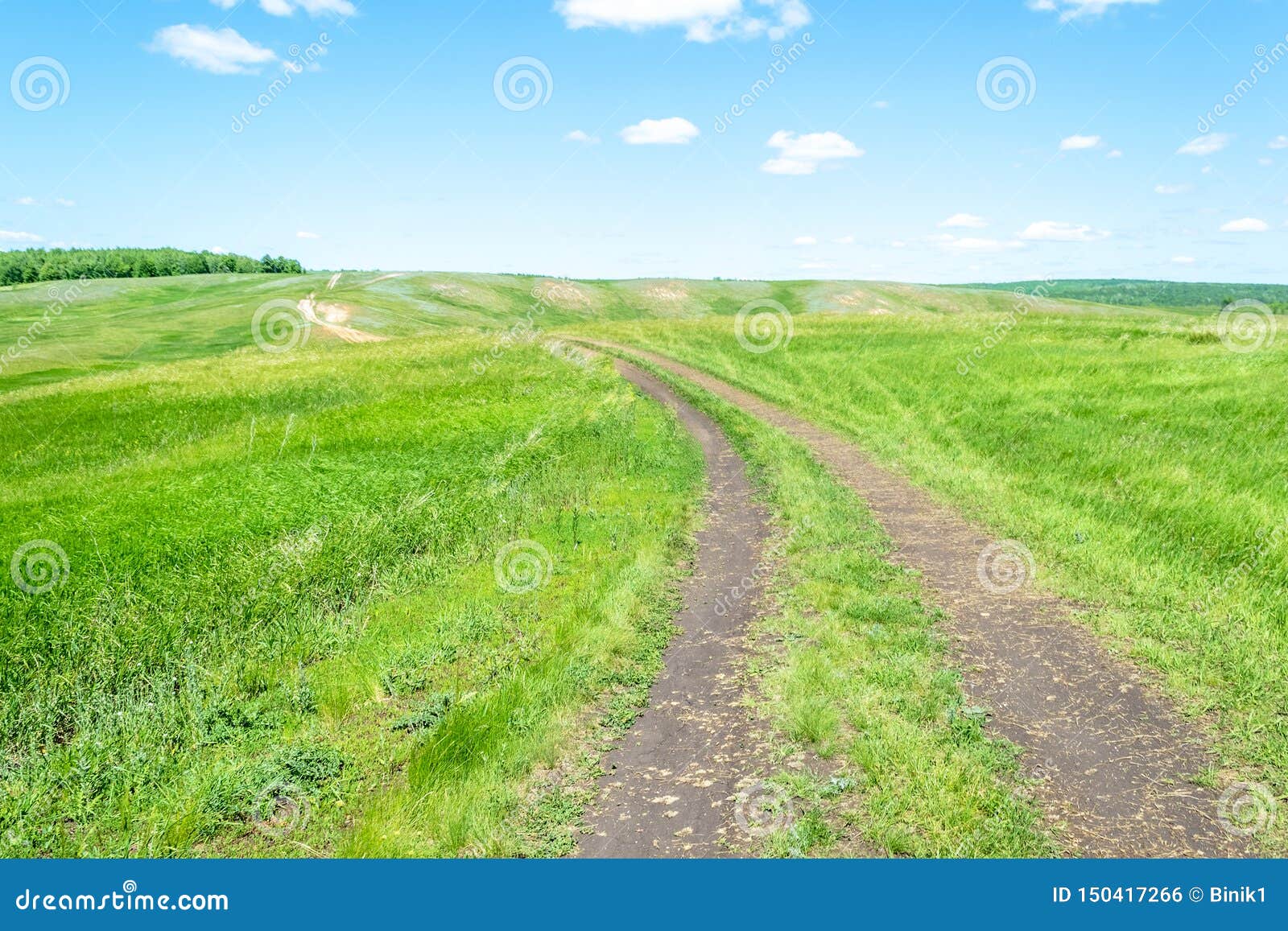 Summer Outdoor Green Grass Field Stock Photo - Image of natural, empty ...