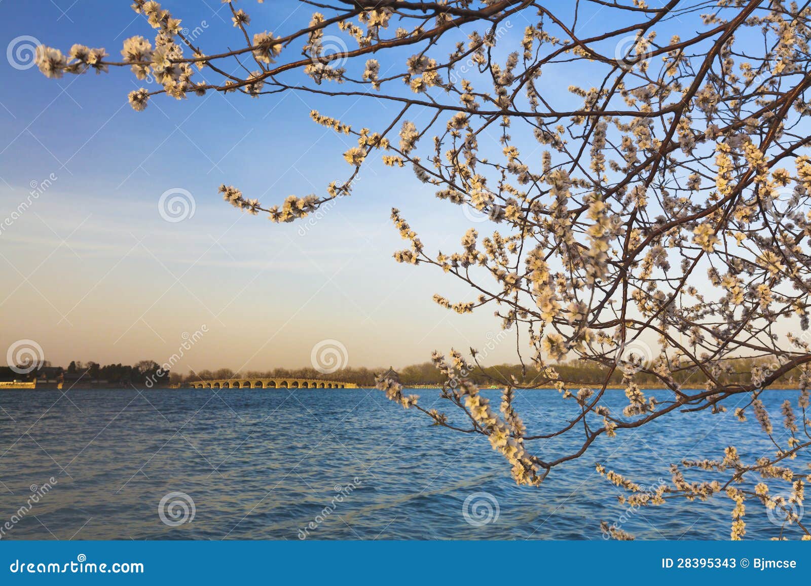 The Summer Palace in Beijing Spring Peach Stock Image - Image of tree ...