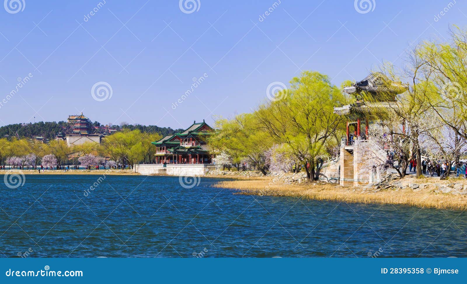 The Summer Palace in Beijing Spring Peach Stock Photo - Image of tree ...
