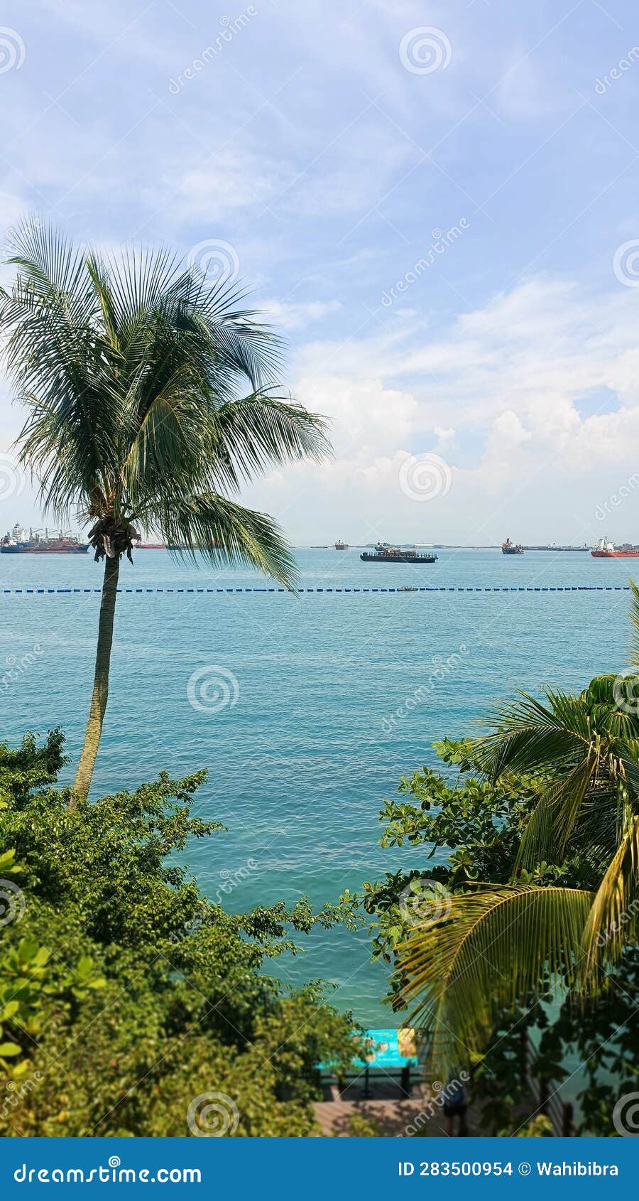 Summer in Palawan Island Singapore Stock Photo - Image of ocean, nature ...