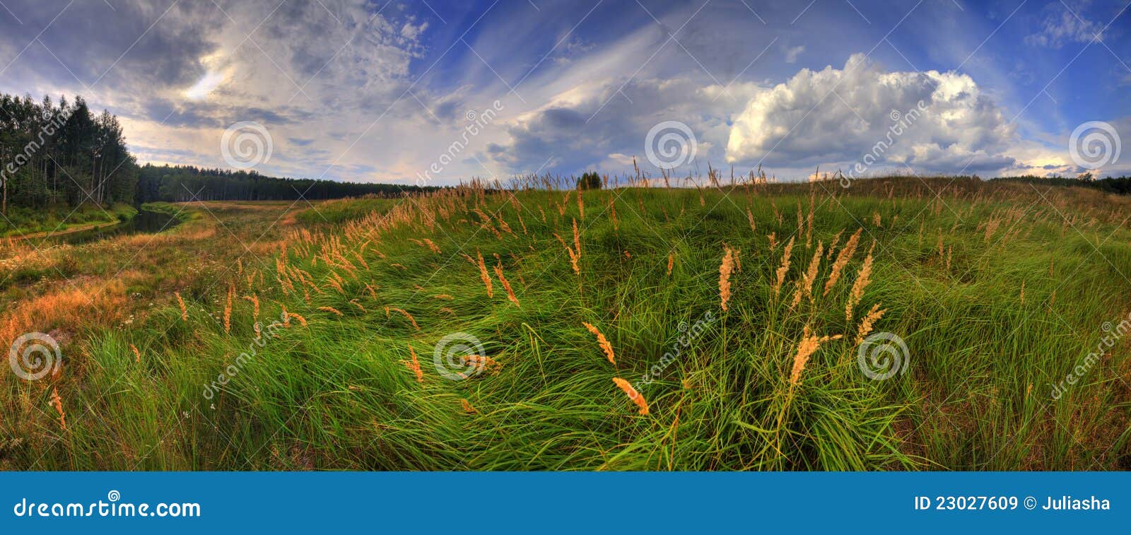Summer panorama stock image. Image of clouds, countryside - 23027609