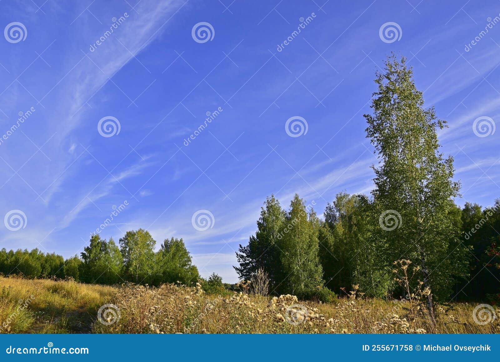 Summer Panorama of the Fields of the Western Urals Stock Photo - Image ...