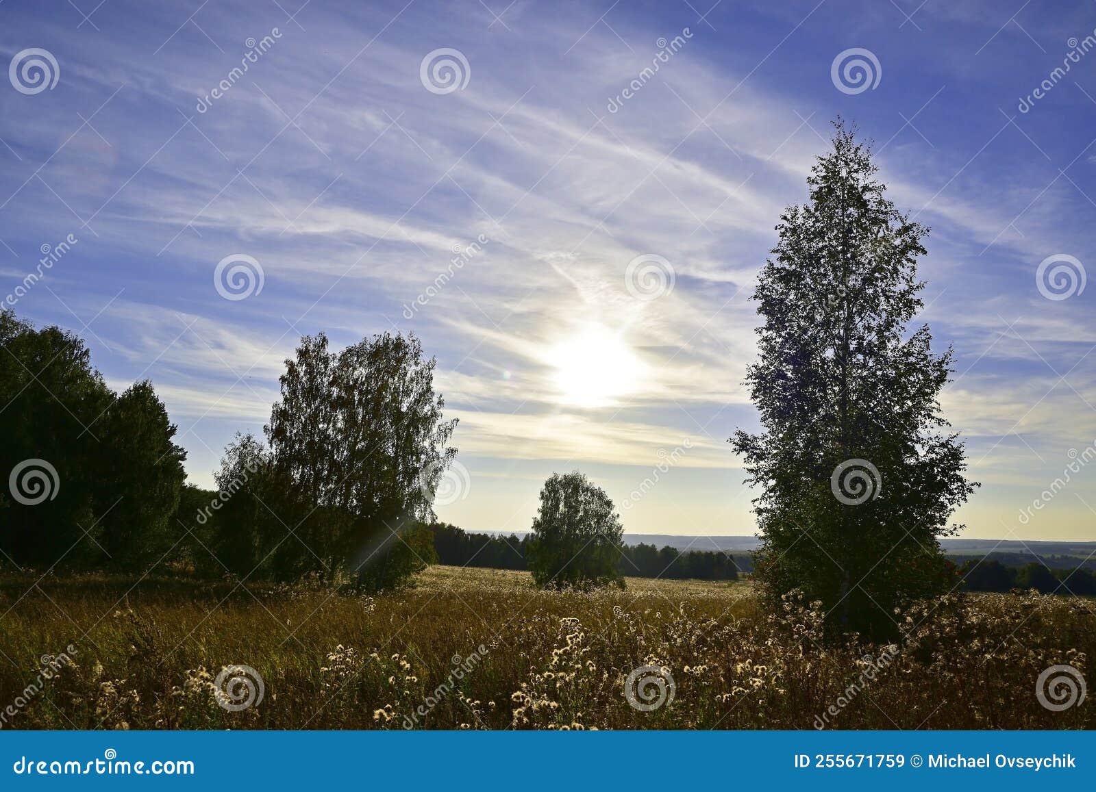 Summer Panorama of the Fields of the Western Urals Stock Image - Image ...