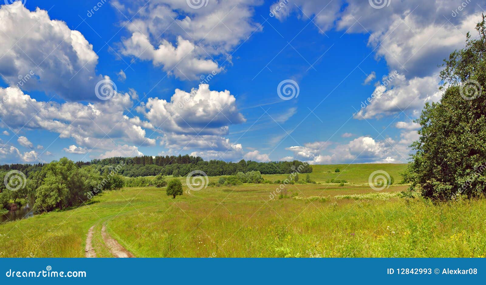 Summer panorama landscape stock image. Image of country - 12842993