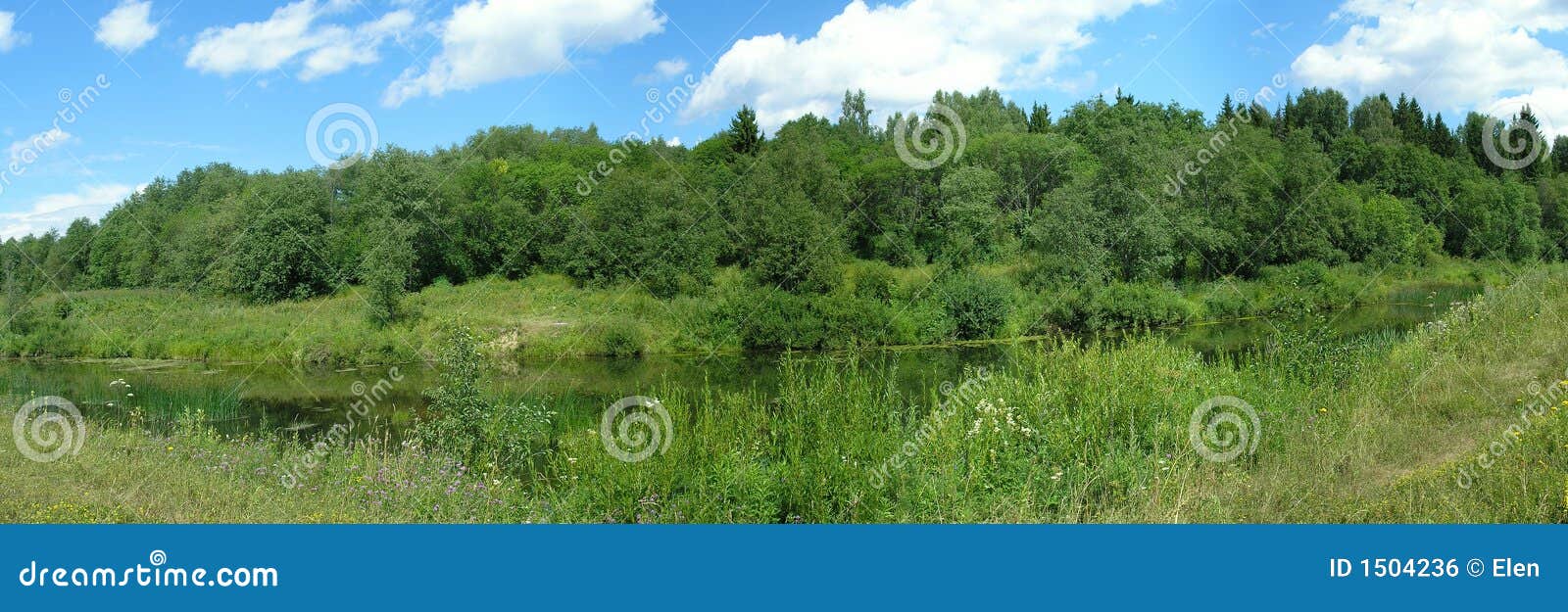 Summer panorama. River stock photo. Image of green, season - 1504236