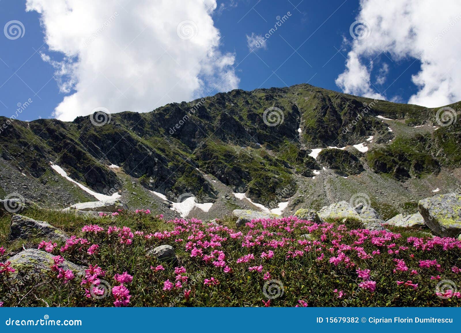 Summer in Parang stock photo. Image of clouds, flowes - 15679382